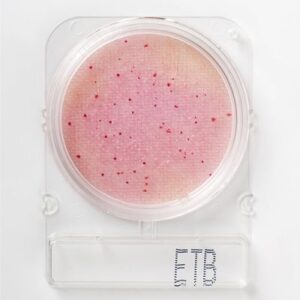 Anahtar Teslim Laboratuvar Kurulumu Çekerocak Lab Tezgahı