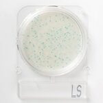 Anahtar Teslim Laboratuvar Kurulumu Çekerocak Lab Tezgahı